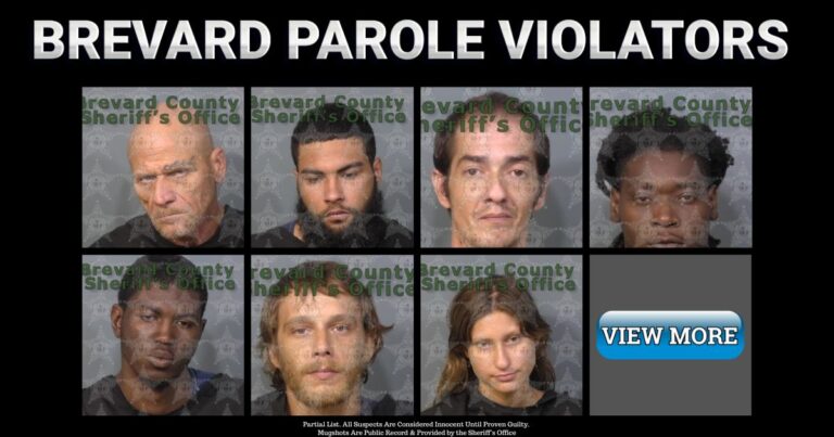 Brevard County Florida Mugshots and Crime Reports – Brevard County Arrests